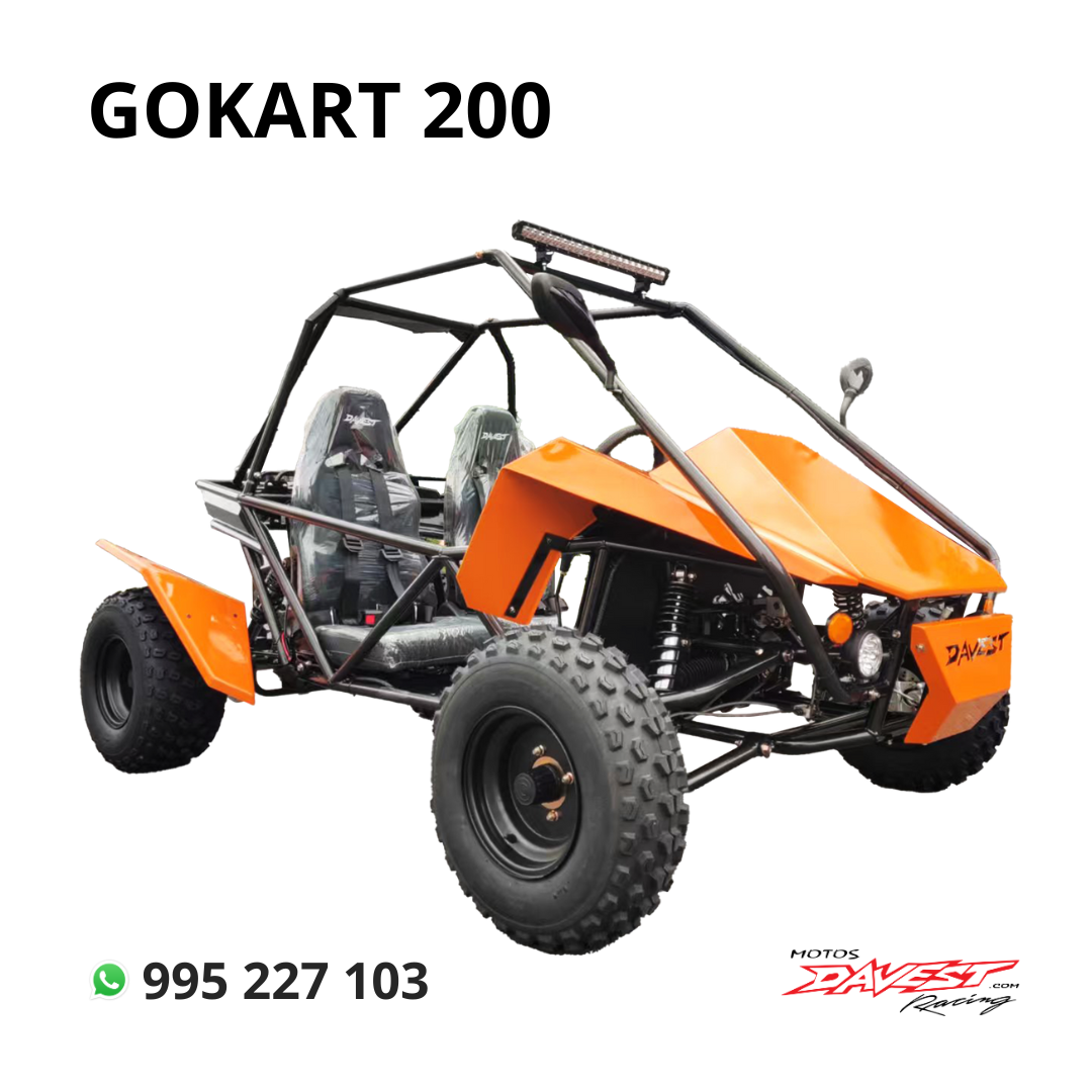 GOKART 200 – Motos Davest